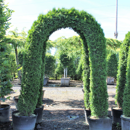 Bountiful Farms | Arch Collection